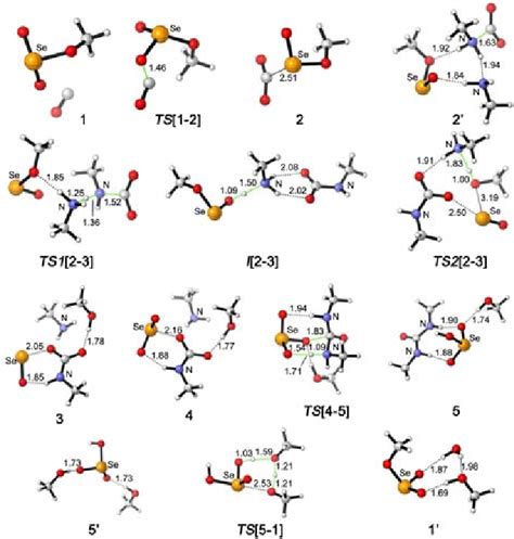 Optimized Structures Of Reaction Intermediates And Transition States