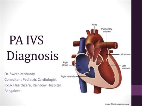 Pulmonary Atresia With Intact Interventricular Septum Ppt