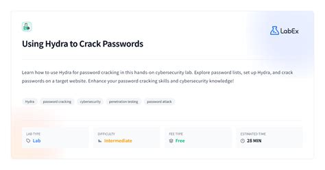 Como Quebrar Senhas Com Hydra Guia Prático De Segurança Cibernética
