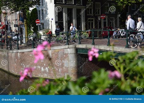 Amsterdam Canal With Flowers Editorial Image Image Of Canal Ancient