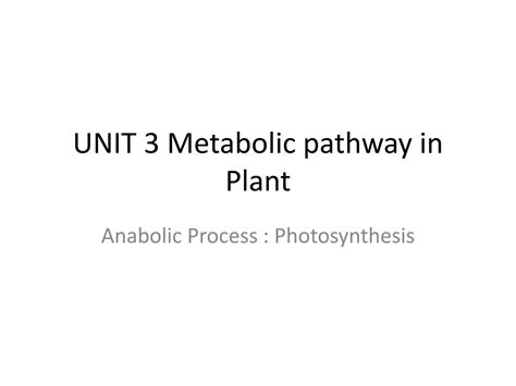 SOLUTION Bio 102 Unit 3 Metabolic Pathway In Plant Studypool
