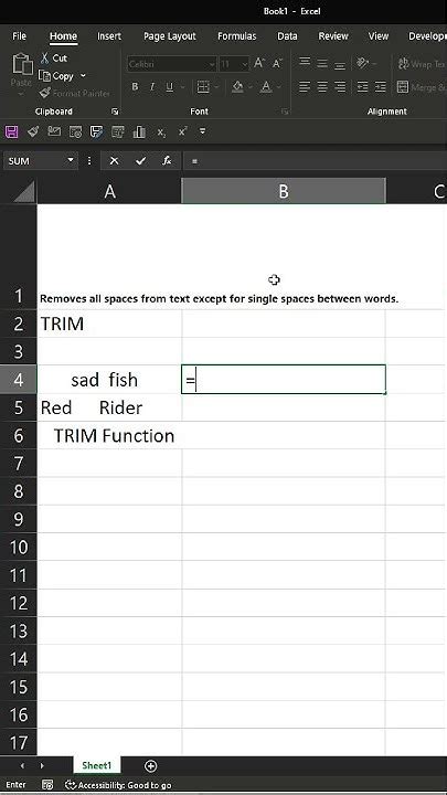 Trim Function Shorts Microsoft Excel Tutorial Youtube