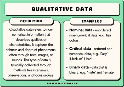 15 Qualitative Data Examples 2025