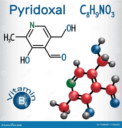 Pyridoxal Molecule Is A Vitamin B6 Structural Chemical Formula Stock