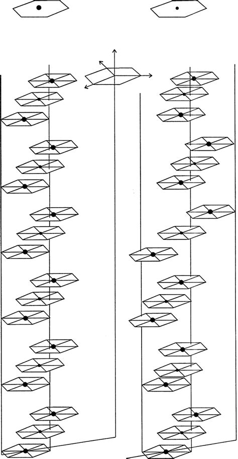 Two Common Polytypes 2h And 12r Are Constructed From Dense Packed