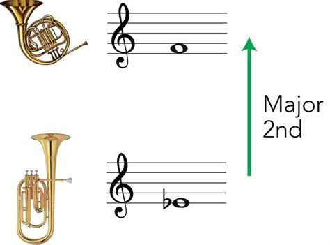Transposition For French Horn A Music Theory Guide