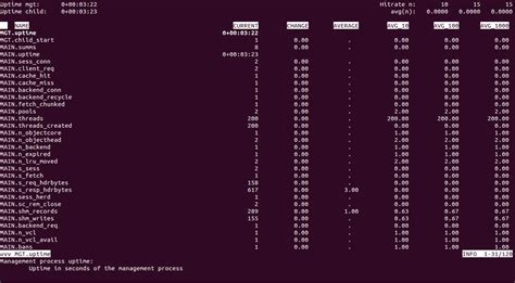 Install Configure Varnish Cache With Nginx Web Server On Ubuntu