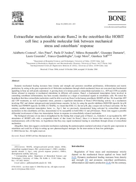 Pdf Extracellular Nucleotides Activate Runx2 In The Osteoblast Like