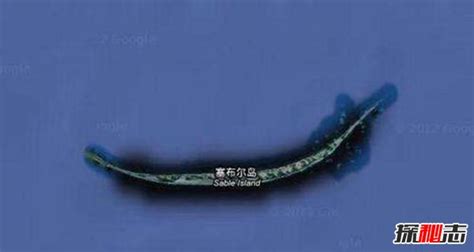 会旅行的岛海上坟场塞布尔岛丧生超过五千人 小狼观天下
