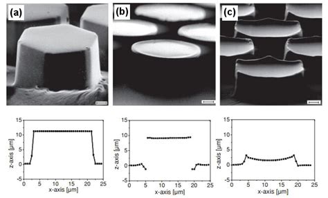 Biomimetic Hexagonal Surface Textures Scanning Electron Microscopy Download Scientific Diagram