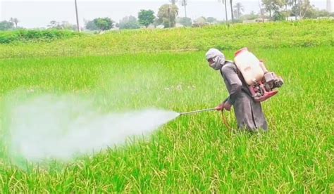 Macam Macam Alat Semprot Pertanian Terbaru Empat Pilar