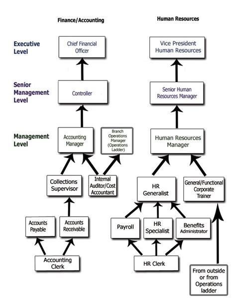 Career Ladder For Administration And Office Finance Duties Finance
