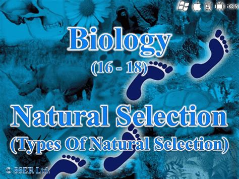 Natural Selection Types Sser Ltd Shop