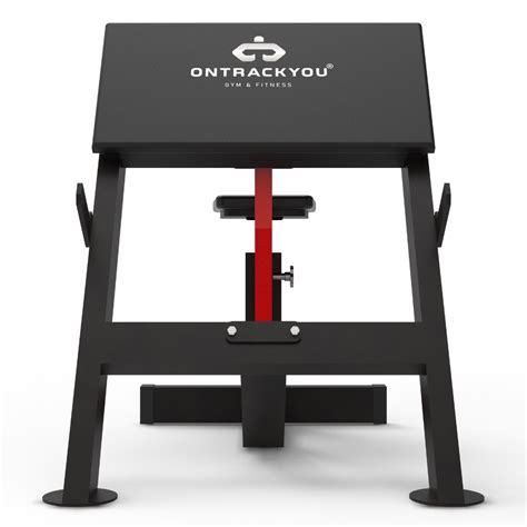 Preacher Curl Bench