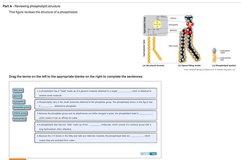 Solved Part A Drag The Terms On The Left To The Appropri Chegg