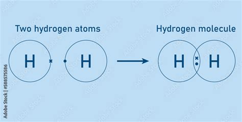 Covalent Bond Of The Hydrogen Molecule Two Hydrogen Atoms And Hydrogen
