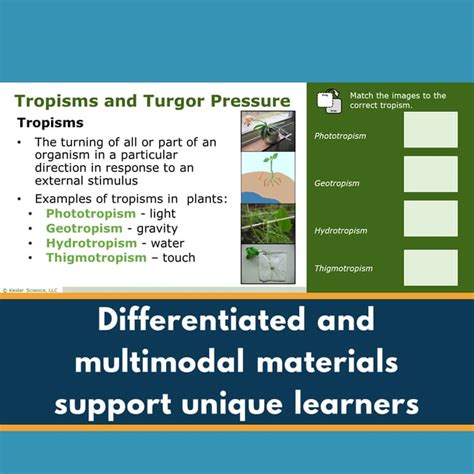 Tropisms And Turgor Pressure Ms 6 8 Supplemental Lesson No Lab