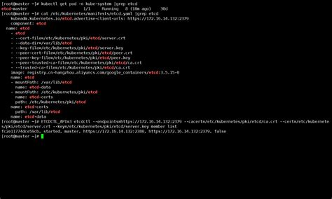 【kubernetes】k8s 之 Etcd 恢复备份etcd备份与还原 Csdn博客 【kubernetes】k8s 之 Etcd 恢复备份etcd备份与还原 Csdn博客