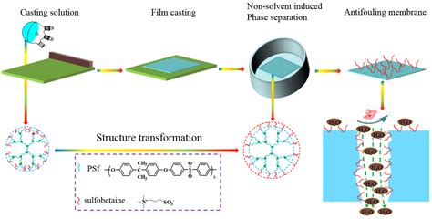 Zwitterionic Polysulfone Copolymerpolysulfone Blended Ultrafiltration Membranes With Excellent