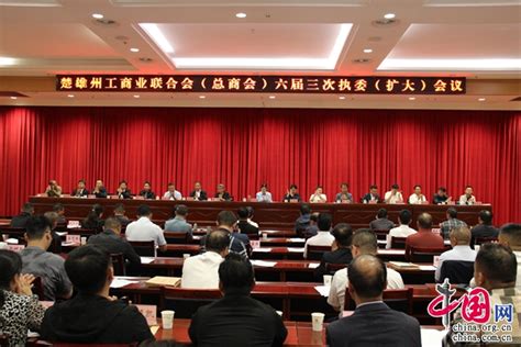 楚雄爱尔眼科医院捐赠50万元助力乡村振兴中国网