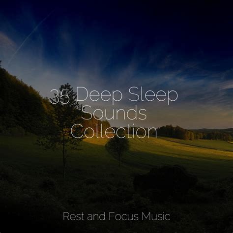 Deep Sleep Sounds Collection Album by Música para Relaxar Maestro Spotify