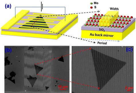 The Schematic A And The Scanning Electron Micrograph Images B And