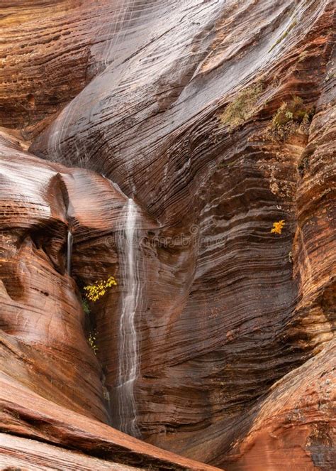 Detail Of Cockeye Falls In Autumn In Zion Nat Park Utah Usa Stock