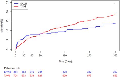 Kaplan Meier Curves For 1 Year Cumulative All Cause Mortality In 704