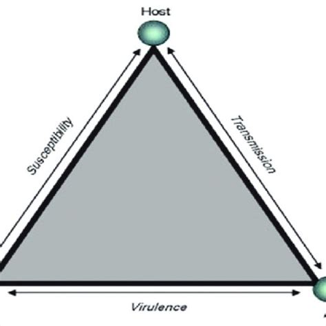 Epidemiological Triangle For The Disease Of Influenza Download Scientific Diagram