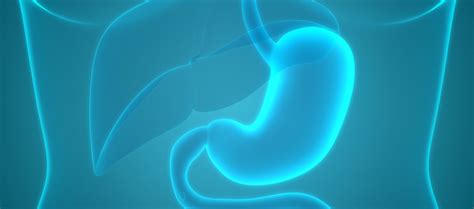 Los Nuevos Criterios De Clasificación Acreular Medizinonline