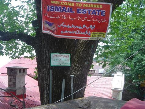 Photo 800 Years Old Tree Murree Hills Murree Punjab By Rashid