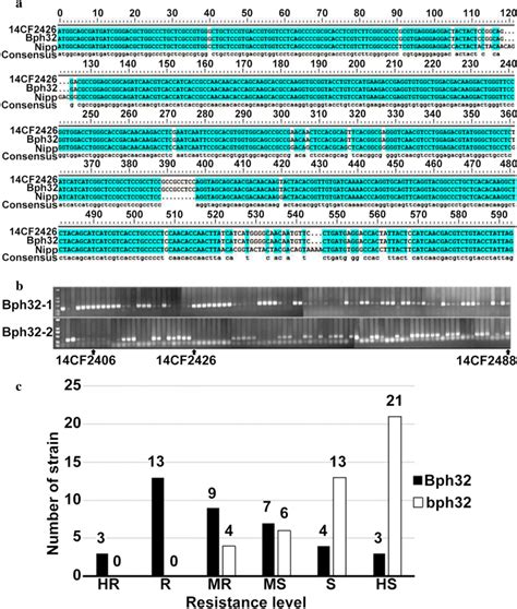 sequence alignment analysis a sequence comparison of 14cf2426 nipp