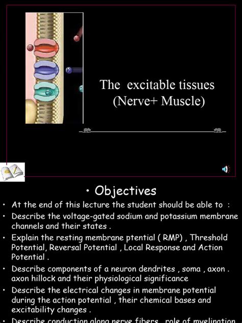2 And 3 Resting Membrane Potential And Action Potentia Pdf Action