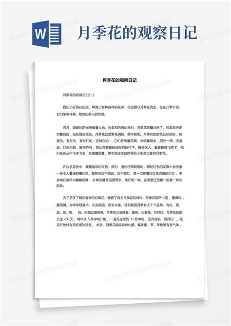 月季花的观察日记 Word模板下载 编号lmnerrzw 熊猫办公