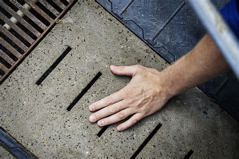 Farrowing Unit Pre Farrowing Danbred