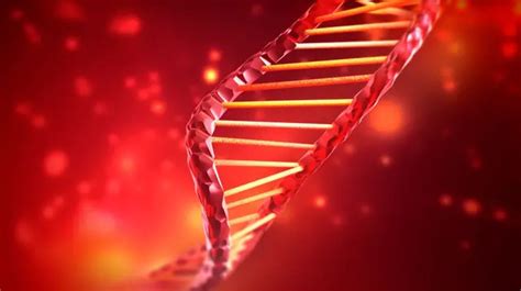 X 레이 렌더링으로 고립 된 검은 배경 3d Dna 나선 구조 Dna 가닥 나선 Dna 나선 배경 일러스트 및 사진 무료