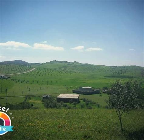 باينو موتو عليها Mk