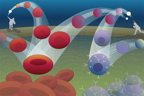 Predicting Cell Fates And Genetic Perturbations With A New