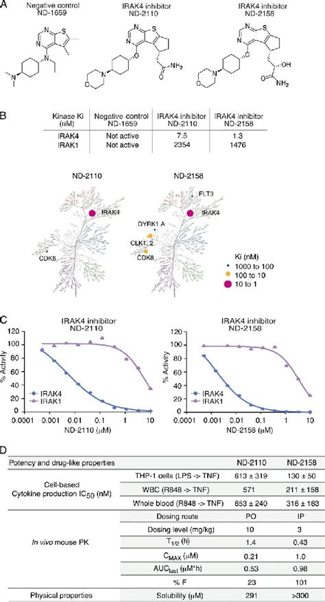 Nd 2110 And Nd 2158 Are Highly Potent And Selective Irak4 Inhibitors