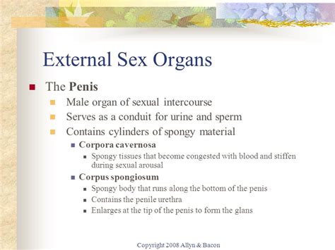 Male Sexual Anatomy And Physiology Ppt Video Online Download