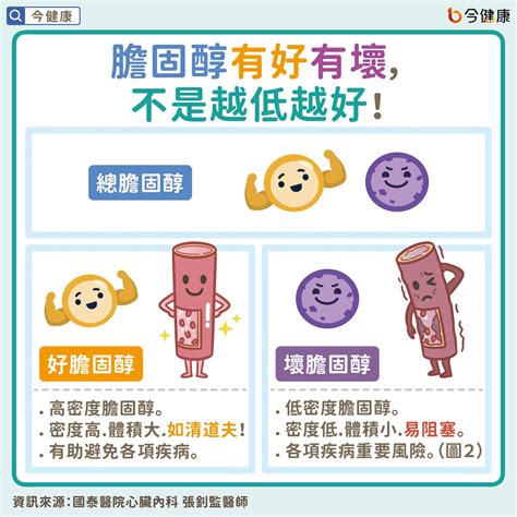 簡單4招消滅壞的膽固醇！助防中風、心肌梗塞、失智症、腎衰竭！ 今健康