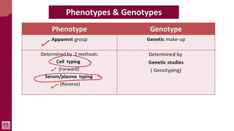 Hematology 4 U1 L7 Phenotyping And Genotyping Youtube