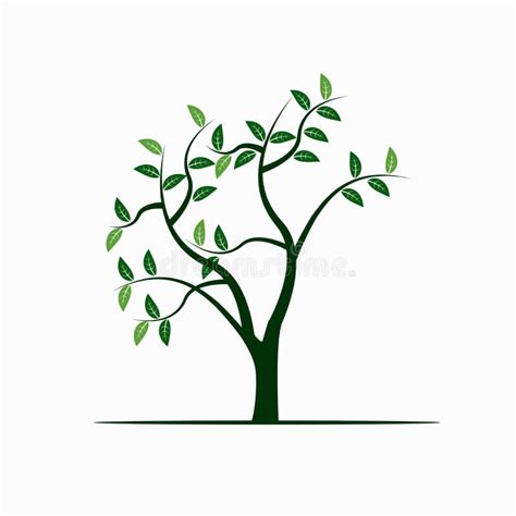 Green Shape Of Tree With Leaves And Roots Vector Outline Illustration Plant In Garden Stock
