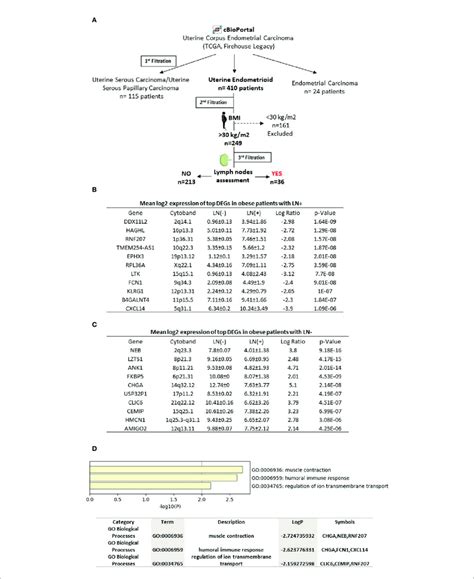 a schematic workflow describing biomarker discovery b log2