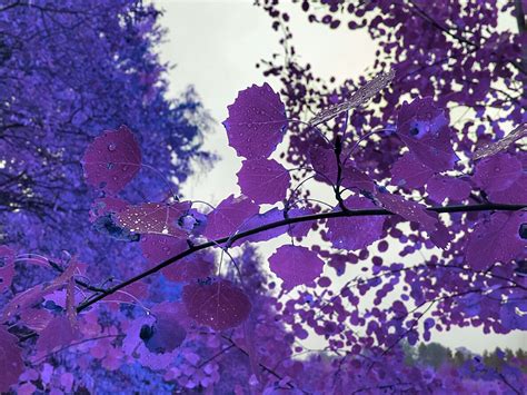 Aesthetic Love On Tumblr