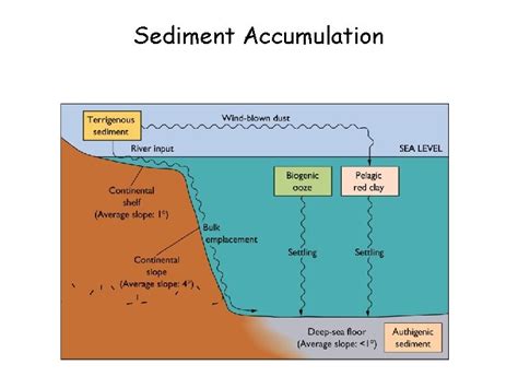 Chapter 4 Marine Sediment Classification A Shape Size