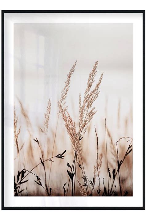 Постеры на стену бежевые Постер Пампасная трава Постер трава постеры на стену в скандинавском