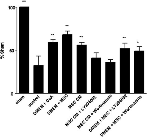 mtt assay measuring nrc viability after simulated ischemia reperfusion