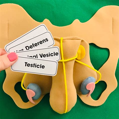 Kerry Wolstenholme 𝙍𝙚𝙡𝙖𝙩𝙞𝙤𝙣𝙨𝙝𝙞𝙥𝙨 𝙎𝙚𝙭 𝙃𝙚𝙖𝙡𝙩𝙝 𝙀𝙙𝙪𝙘𝙖𝙩𝙤𝙧 And 𝘼𝙪𝙩𝙝𝙤𝙧