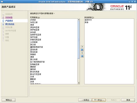 Oracle11gr2 Rac For Linux安装上篇：virtualbox Grid Infrastructure Asm 两节点安装 简要步骤及安装问题总结